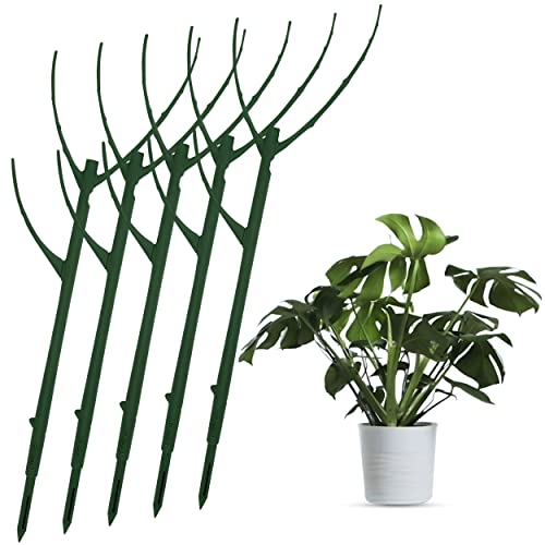 Twigs GA - Monstera Show & Grow Pack. Great Alternative for Moss Pole Plants Monstera. Blends in to Plant, no Ties/Wires. 17” Stackable. Made USA (Stackable Twig (5 Pack), Green)