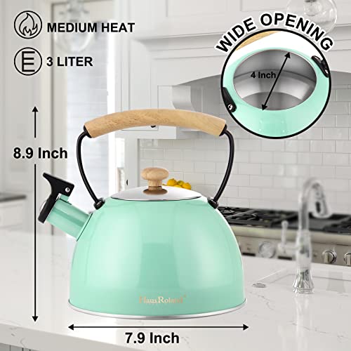 HRHongRui Stove Top Whistling Tea Kettle 304 Stainless Steel Teakettle Teapot with Ergonomic Wood Handle 3.2 Quart /3 Liter Green