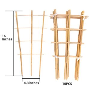 Avalution 10 Pack Bamboo Trellis for Climbing Plants 16" Natural Garden Ladder Trellis, Fan -Shaped Plant Support Trellis for Potted Plant Decor