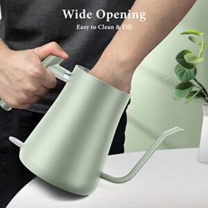 Gooseneck Electric Kettle Fabuletta 1500W Ultra Fast Boiling Water Kettle 100% Stainless Steel for Pour-over Coffee & Tea Leak-Proof Design French Press Boil-Dry Protection 1L Sage Green