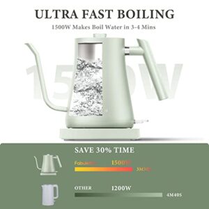 Gooseneck Electric Kettle Fabuletta 1500W Ultra Fast Boiling Water Kettle 100% Stainless Steel for Pour-over Coffee & Tea Leak-Proof Design French Press Boil-Dry Protection 1L Sage Green