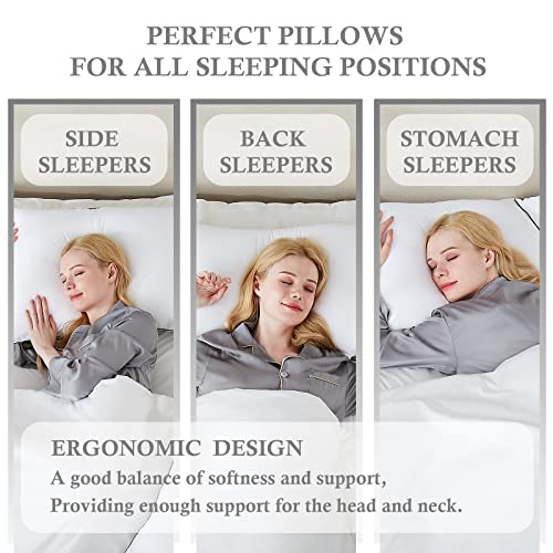 Homemate Bed Pillows for Sleeping - Standard Size(20"x26") Set of 4 Pillows Allergy Friendly Microfiber Shell Fluffy Down Alternative Filling Breathable Pillow Suitable Back Stomach or Side Sleepers