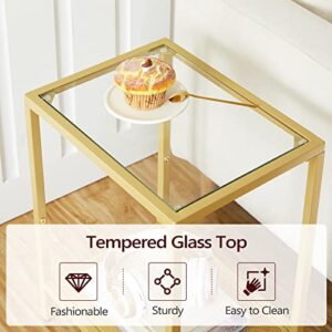 MAHANCRIS End Table, 2-Tier Beside Table with Mesh Shelf, Sofa Side Table with Tempered Glass Top, TV Tray Table for Small Space, Snack Side Table, Nightstand for Bedroom, Living Room, Gold ETJ24B01