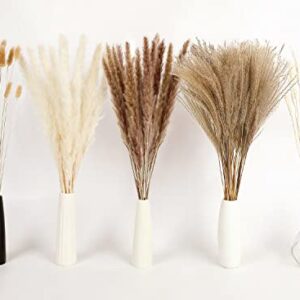 Dolicer 80 Pcs Dried Pampas Grass, 17'' Pampas Grass Decor, Natural Pampas Boho Flowers Bouquet White Pampas Grass Brown Pampas Reed Pampas Bunny Tail Boho Decor for Home Wedding Farmhouse