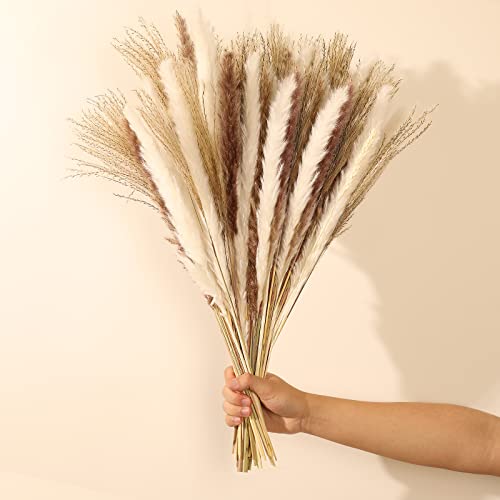 Dolicer 80 Pcs Dried Pampas Grass, 17'' Pampas Grass Decor, Natural Pampas Boho Flowers Bouquet White Pampas Grass Brown Pampas Reed Pampas Bunny Tail Boho Decor for Home Wedding Farmhouse