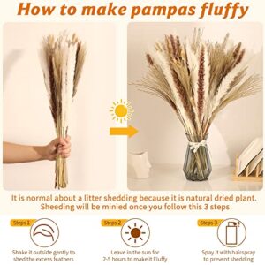 Dolicer 80 Pcs Dried Pampas Grass, 17'' Pampas Grass Decor, Natural Pampas Boho Flowers Bouquet White Pampas Grass Brown Pampas Reed Pampas Bunny Tail Boho Decor for Home Wedding Farmhouse