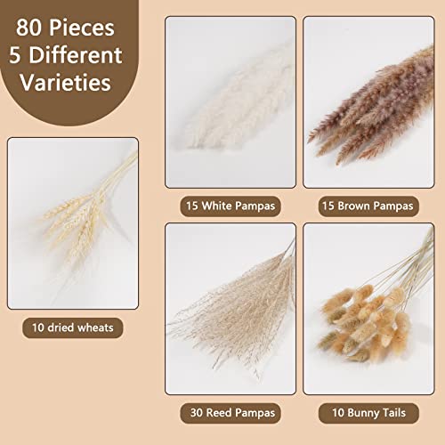 Dolicer 80 Pcs Dried Pampas Grass, 17'' Pampas Grass Decor, Natural Pampas Boho Flowers Bouquet White Pampas Grass Brown Pampas Reed Pampas Bunny Tail Boho Decor for Home Wedding Farmhouse