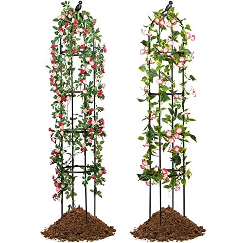 IronFun Plant Trellis for Climbing Plants Support Outdoor/Indoor 2-Pack, Garden Trellis for Potted Plants, Obelisk Trellis Tomato/Rose, Plant Vine Support, Iron Pipe Wrapped with Plastic