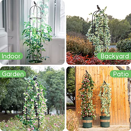 IronFun Plant Trellis for Climbing Plants Support Outdoor/Indoor 2-Pack, Garden Trellis for Potted Plants, Obelisk Trellis Tomato/Rose, Plant Vine Support, Iron Pipe Wrapped with Plastic