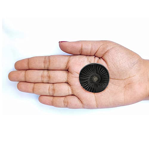 Vedic Vaani Vishnu Narayana Shree Hari Mahalaxmi Shaligram Shila (Pack of 3)