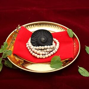 Vedic Vaani Vishnu Narayana Shree Hari Mahalaxmi Shaligram Shila (Pack of 3)