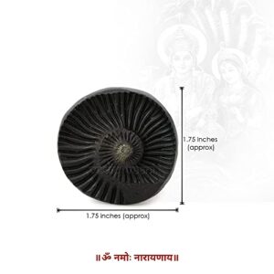 Vedic Vaani Vishnu Narayana Shree Hari Mahalaxmi Shaligram Shila (Pack of 3)