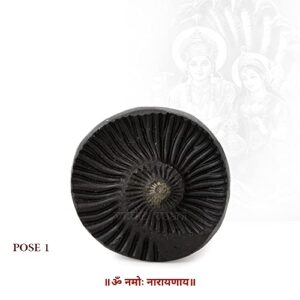 Vedic Vaani Vishnu Narayana Shree Hari Mahalaxmi Shaligram Shila (Pack of 3)