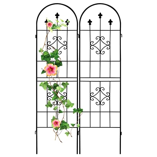 LZRS 2 Pack 71x20in Rustic Garden Trellis with Black Coating Decorative Potted for Climbing Outdoor Roses Vines Flower Vegetable Supports