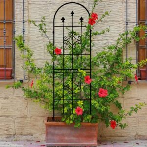 LZRS 2 Pack 71x20in Rustic Garden Trellis with Black Coating Decorative Potted for Climbing Outdoor Roses Vines Flower Vegetable Supports