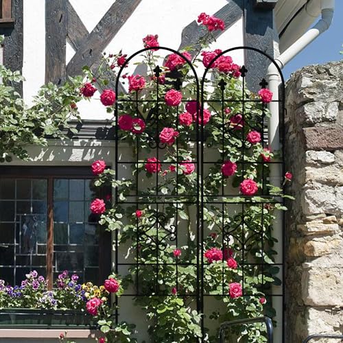 LZRS 2 Pack 71x20in Rustic Garden Trellis with Black Coating Decorative Potted for Climbing Outdoor Roses Vines Flower Vegetable Supports