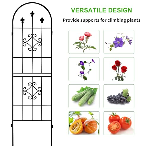 LZRS 2 Pack 71x20in Rustic Garden Trellis with Black Coating Decorative Potted for Climbing Outdoor Roses Vines Flower Vegetable Supports