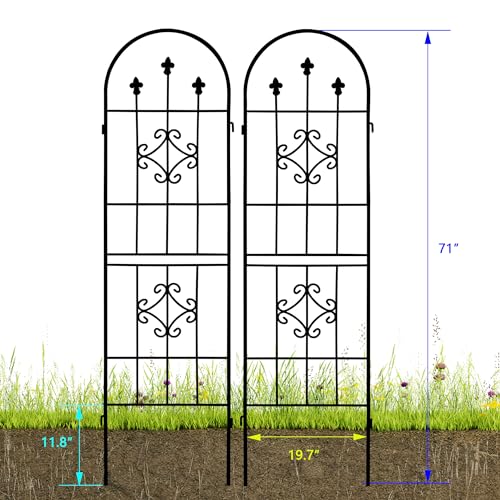 LZRS 2 Pack 71x20in Rustic Garden Trellis with Black Coating Decorative Potted for Climbing Outdoor Roses Vines Flower Vegetable Supports