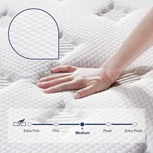 EEN EEN SLEEP Full Mattress, 12 Inch Hybrid Mattress in A Box, Full Size Mattresses Made of Foam and Individual Pocketed Springs, Strong Edge Support, Pressure Relief, Cool Breathable, Medium Firm