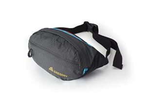 gregory mountain products nano waistpack