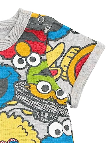 Sesame Street Bert and Ernie Oscar the Grouch Big Bird Infant Baby Boys Romper and Hat Gray 12 Months