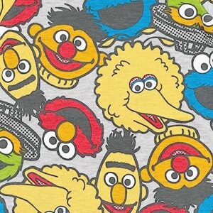 Sesame Street Bert and Ernie Oscar the Grouch Big Bird Infant Baby Boys Romper and Hat Gray 12 Months