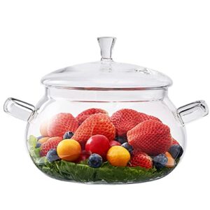 glass cookware glass pot, 2.5 quart glass saucepan simmer pot with lid, microwave, stove and dishwasher safe borosilicate glass pitcher