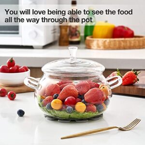 Glass Cookware Glass Pot, 2.5 Quart Glass Saucepan Simmer Pot With Lid, Microwave, Stove and Dishwasher Safe Borosilicate Glass pitcher