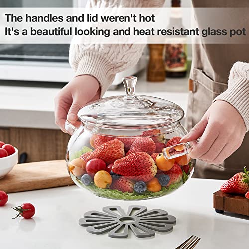 Glass Cookware Glass Pot, 2.5 Quart Glass Saucepan Simmer Pot With Lid, Microwave, Stove and Dishwasher Safe Borosilicate Glass pitcher