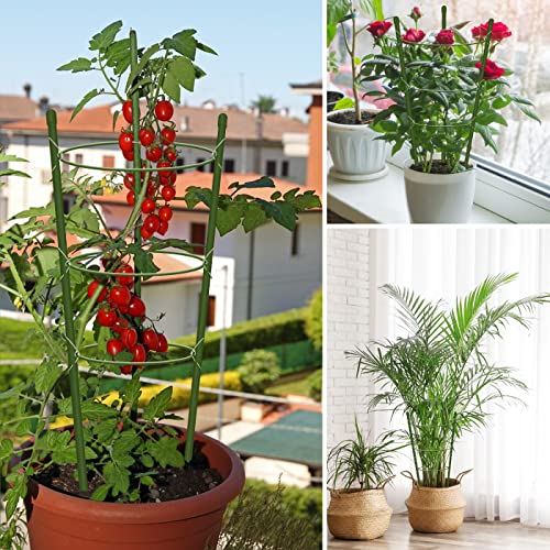 4 Pack Tomato Cage for Garden Plant Support, 18 inches Small Tomato Trellis with Adjustable Rings, Plant Stakes for Peony Support, Tomato Stakes Rings for Climbing Plants