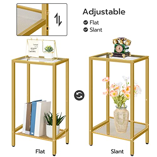 HOOBRO Tall Side Table, Morden Tempered Glass End Telephone Table with Adjustable Mesh Shelves, Small Entryway Table, Laptop Table for Office, Hallway, Living Room, Gold GD03DH01