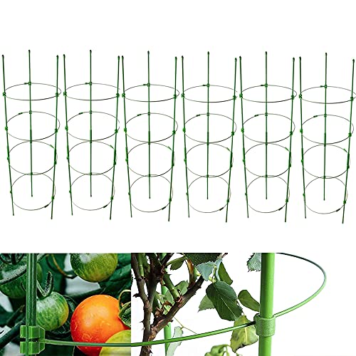 Adjustable Tomato Cage,36" Plant Support Garden Plant Stakes Cucumber Trellis with 4 Adjustable Ring for Climbing Plants Vegetables，Flowers，Fruit,Rose Vine Climbing Plants(6 Pack)