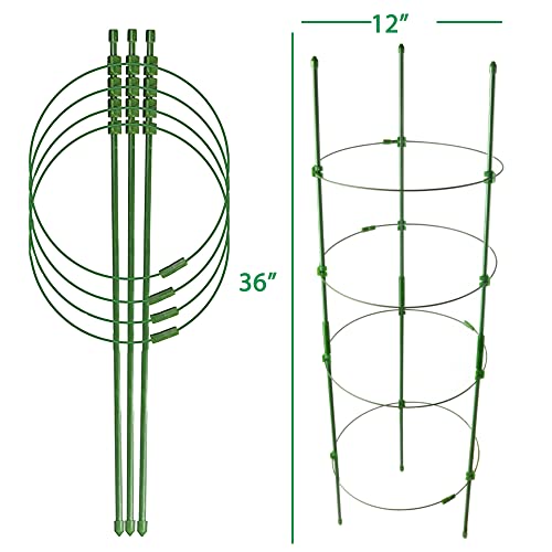 Adjustable Tomato Cage,36" Plant Support Garden Plant Stakes Cucumber Trellis with 4 Adjustable Ring for Climbing Plants Vegetables，Flowers，Fruit,Rose Vine Climbing Plants(6 Pack)