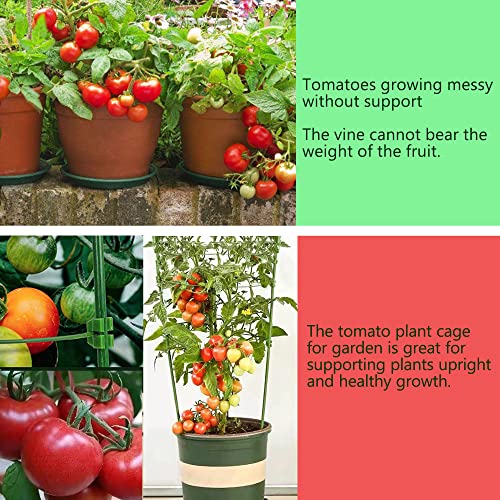 Adjustable Tomato Cage,36" Plant Support Garden Plant Stakes Cucumber Trellis with 4 Adjustable Ring for Climbing Plants Vegetables，Flowers，Fruit,Rose Vine Climbing Plants(6 Pack)