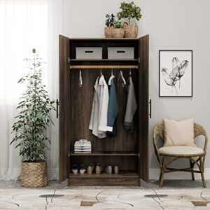 Prepac Elite Functional Wardrobe Closet Cabinet with Hanging Rail, Simplistic 2-Door Armoire Portable Closet 20" D x 32" W x 65" H, Drifted Gray, DEW-3264