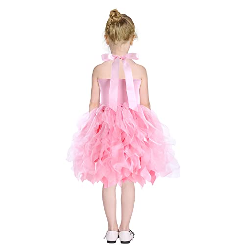 Pink Tutu Dress for Toddler Girls Pink Sequin Tulle Fancy Princess Dresses for Girls Prom Birthday Party Outfit 3-4T