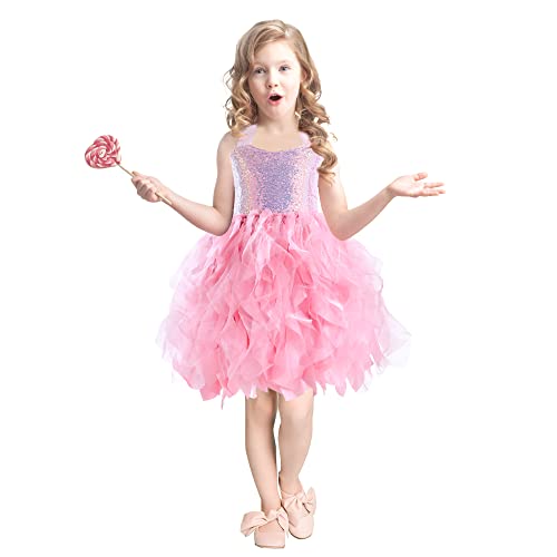 Pink Tutu Dress for Toddler Girls Pink Sequin Tulle Fancy Princess Dresses for Girls Prom Birthday Party Outfit 3-4T