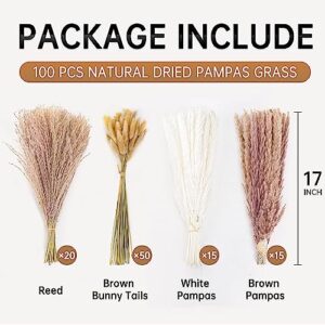 Der Rose 17 Inches Dried Pampas Grass for Boho Bathroom Bedroom Kitchen Living Room Office Home Room Fall Decor Aesthetic