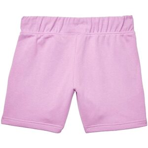 Nike Big Girls Sportswear Club French Terry Shorts (X-Large, Violet Shock/Mint Foam)