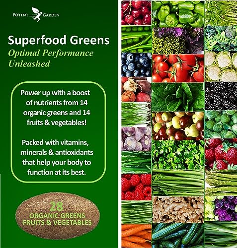 Potent Garden 2-Pack Organic Superfood Greens, Fruit and Veggie Supplement Rich in Vitamins & Antioxidants with Alfalfa, Beet Root & Tart Cherry to Boost Energy, Immunity & Gut Health, 120 Ct