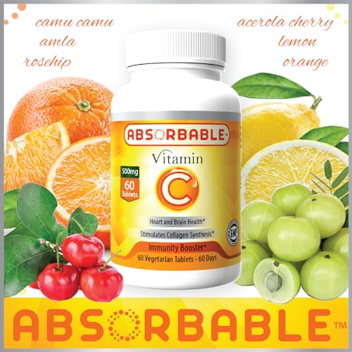 ABSORBABLE Vitamin C 500 mg with Rose Hip and 6 Natural Vitamin C Sources, Science Backed Proprietary Blend 60 Tablets