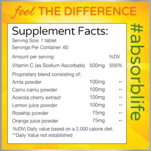 ABSORBABLE Vitamin C 500 mg with Rose Hip and 6 Natural Vitamin C Sources, Science Backed Proprietary Blend 60 Tablets