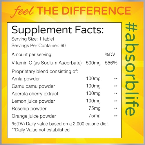 ABSORBABLE Vitamin C 500 mg with Rose Hip and 6 Natural Vitamin C Sources, Science Backed Proprietary Blend 60 Tablets