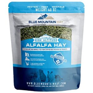 blue mountain hay | 15 oz. fresh alfalfa hay | available in 15 oz. & 40 oz. pouches | nutritious, delicious meal or snack for rabbits, guinea pigs, hamsters, gerbils, rats, and other small pets