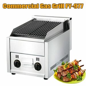 Tabletop Gas Grill Portable,Gas BBQ Stove 2 Burner 2800Pa Pressure,Propane Gas With Infr-ared Rear Burner Grill for Camping Picnic Cookout RV BBQ