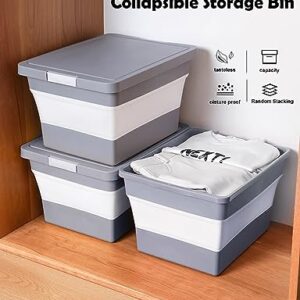 Beinilai Collapsible Storage Bins with lids,26 Qt Plastic Storage Bin Containers Tote Organizing with Secure Buckles，Suitable for Family Outdoor Multi-scene,Grey