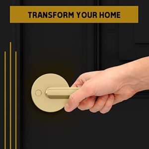 Mega Handles Privacy I Lever Door Handle Set for Hallway, Closet and Bathroom I Reversible Heavy Duty Design I Fits All Standard Door Sizes I Screws Included - Satin Brass (1 Pack)