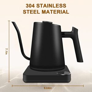 Electric Kettle With Display,1200W Gooseneck Water Heater Electric for Coffee & Tea,30oz Pour Over Coffee Kettle with Ultra Fast,100% Stainless, Auto Shutoff Boil-Dry Protection,0.9L, Black