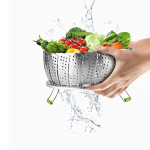 Cyrder Stainless Steel Lotus Steamer basket, Folding Steamer,BPA-Free,Green Kitchenware Accessory, Non-Scratch,Round