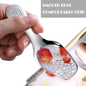 Mini Scoop for Canisters Stainless Steel Salt Spoon Candy Scoops Condiments Spoon Dessert Spoon Sugar Spoon for Tasting, Coffee, Ice Scream, Cake